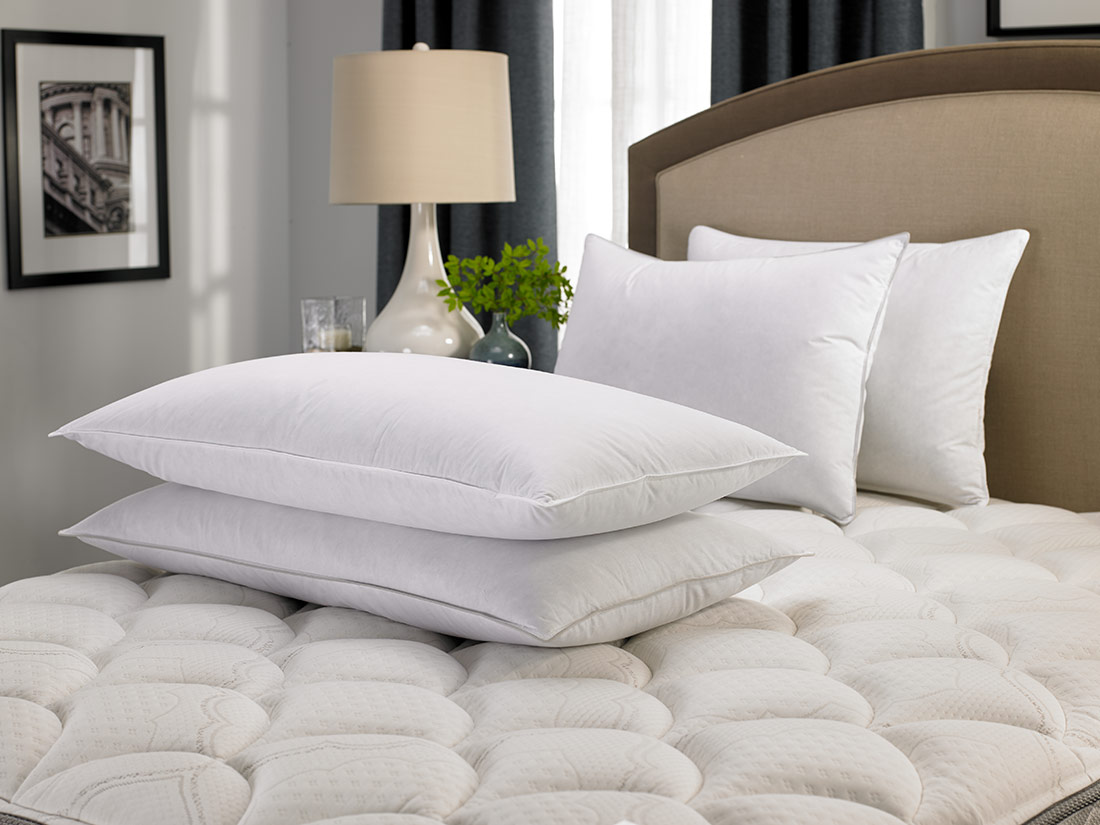 Pillows | Hilton to Home Collection