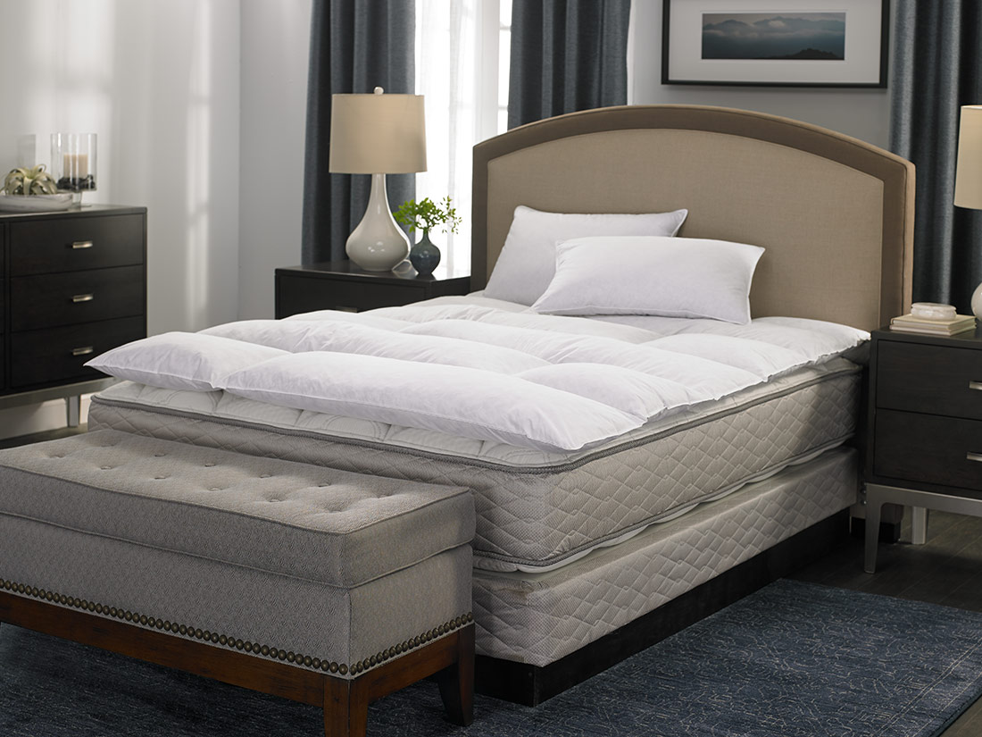Featherbed | Hilton to Home Collection